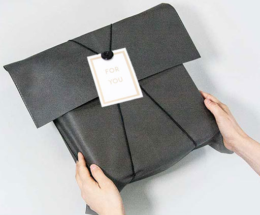 LEDモードコントロールツインライトECL-546 | コイズミオンラインショップ